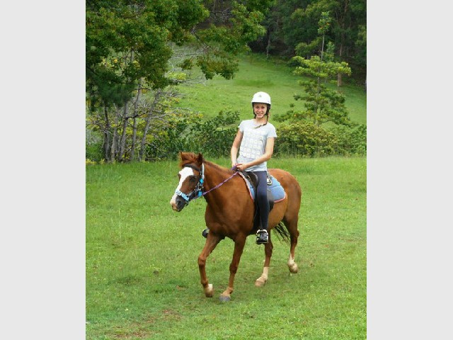 Kiah Park Horse Riding Camp - Sunshine Coast Business Directory